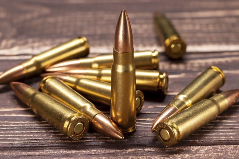 Armeria, venta de armas, municiones, accesorios, Millennium Ltda,